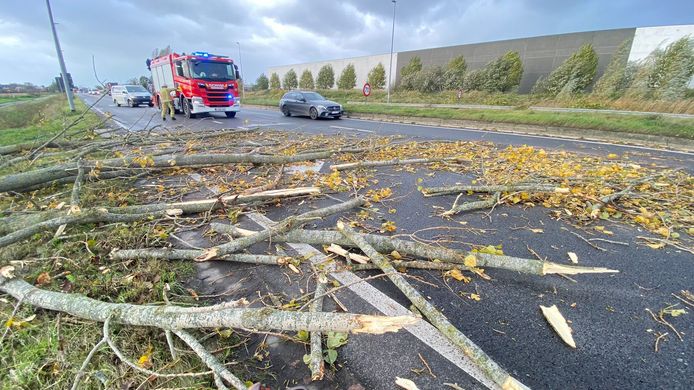 OVERZICHT. Storm Ciarán laat spoor van vernieling achter in Vlaanderen ...