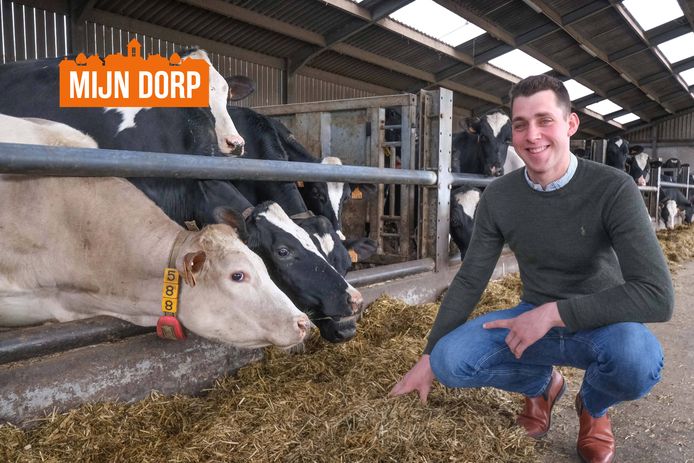 MIJN DORP. Het Woesten van ‘Boer zkt Vrouw’-deelnemer Thomas Leplae (30 ...