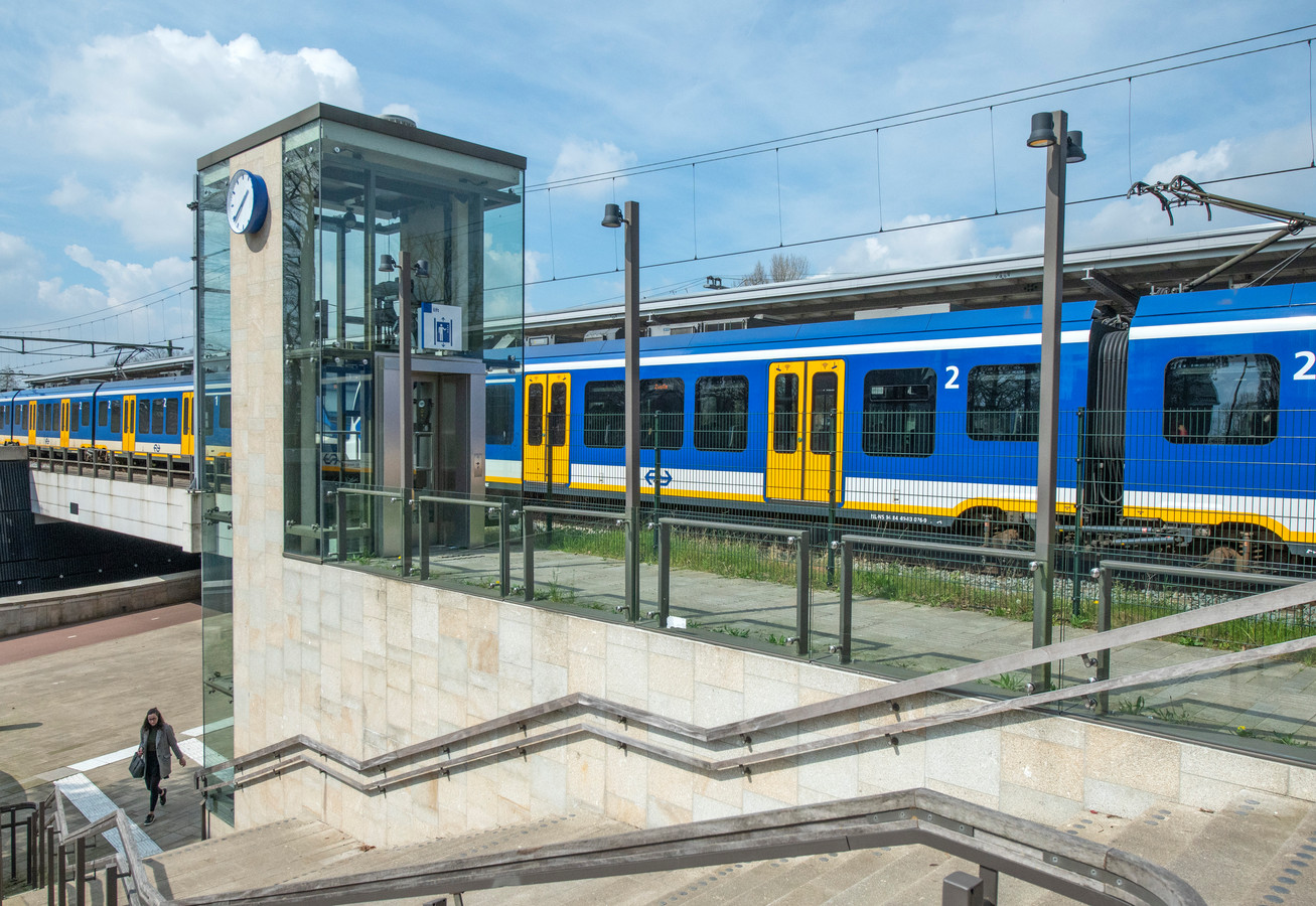 Boom op spoor: geen treinen tussen Nunspeet en Putten | Foto | tubantia.nl