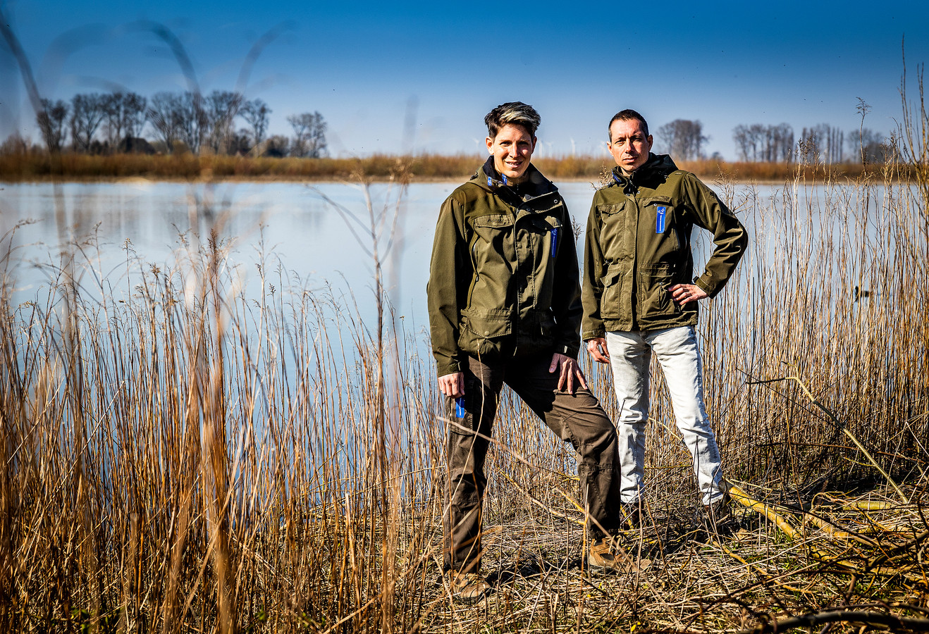 Tipi's, yurts en huurwoningen: is het gedaan met de rust voor de natuur ...
