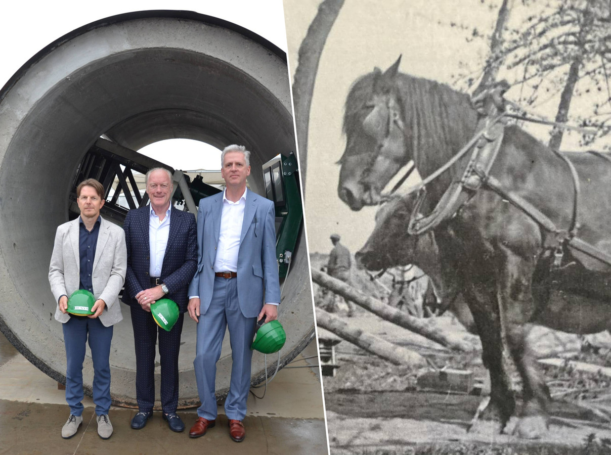 Gentse specialist in complexe bouwwerken Denys viert 100ste verjaardag ...