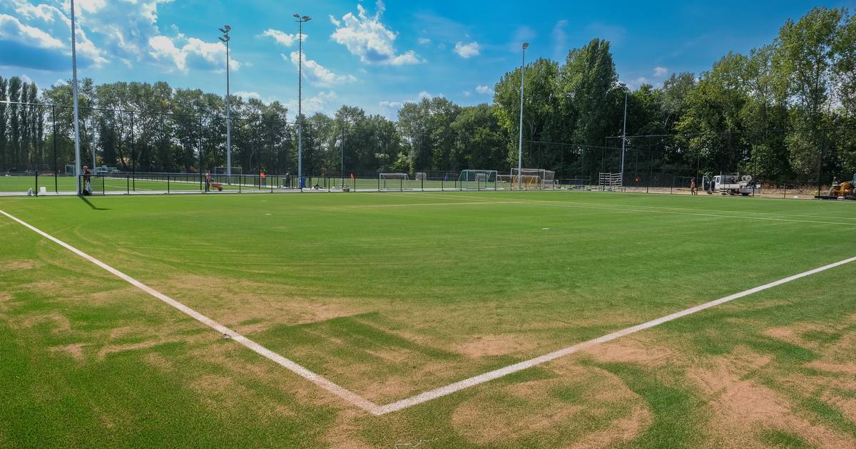 Diegem Sport is twee kunstgrasvelden rijker: “Eerste ploeg zal ...