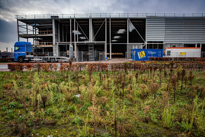 Kempisch Bedrijven Park zit vol: ‘Je zag een eindsprint bij ondernemers ...