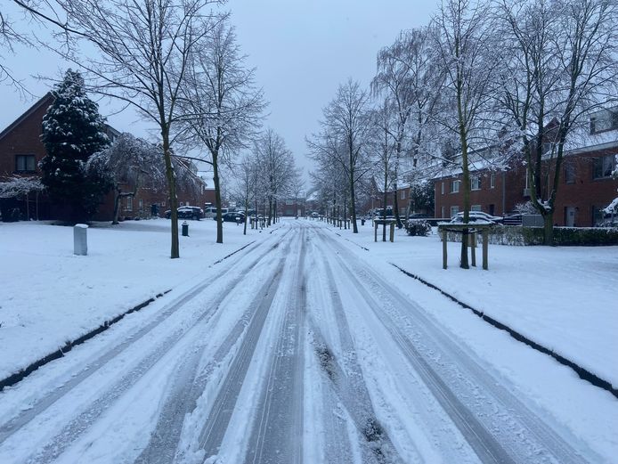 IN BEELD. Prachtige sneeuwtaferelen in Limburg, dierenwinkel maakt ...