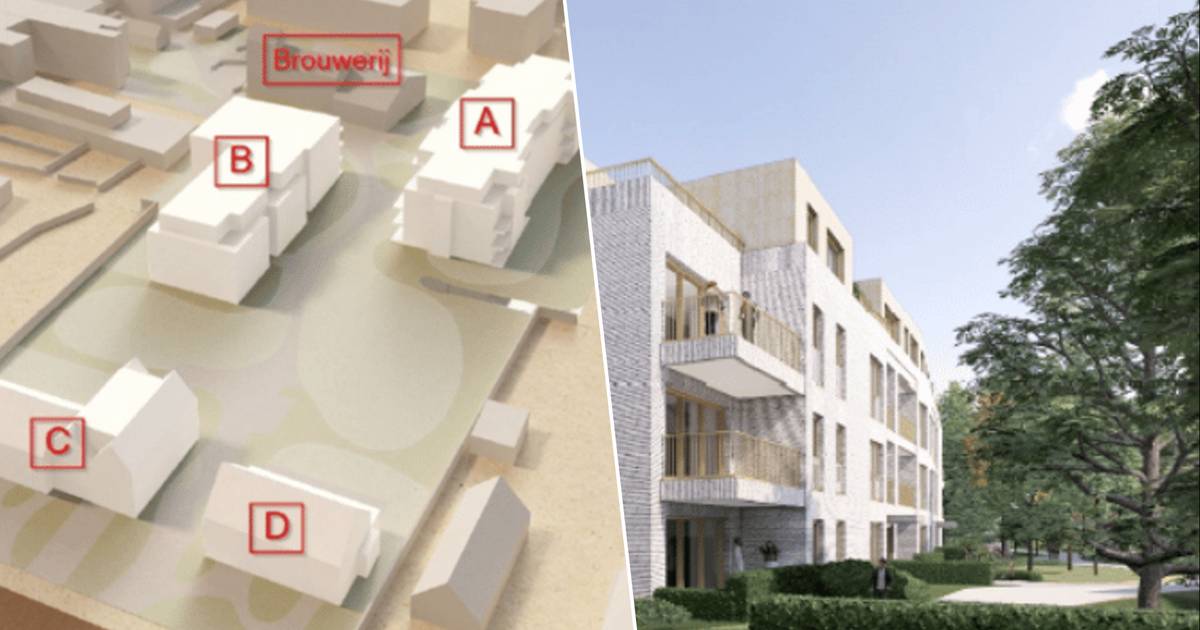 Groen licht voor bouw van 68 appartementen en 6 woningen op site Brouwerij Brosens, restauratie ...