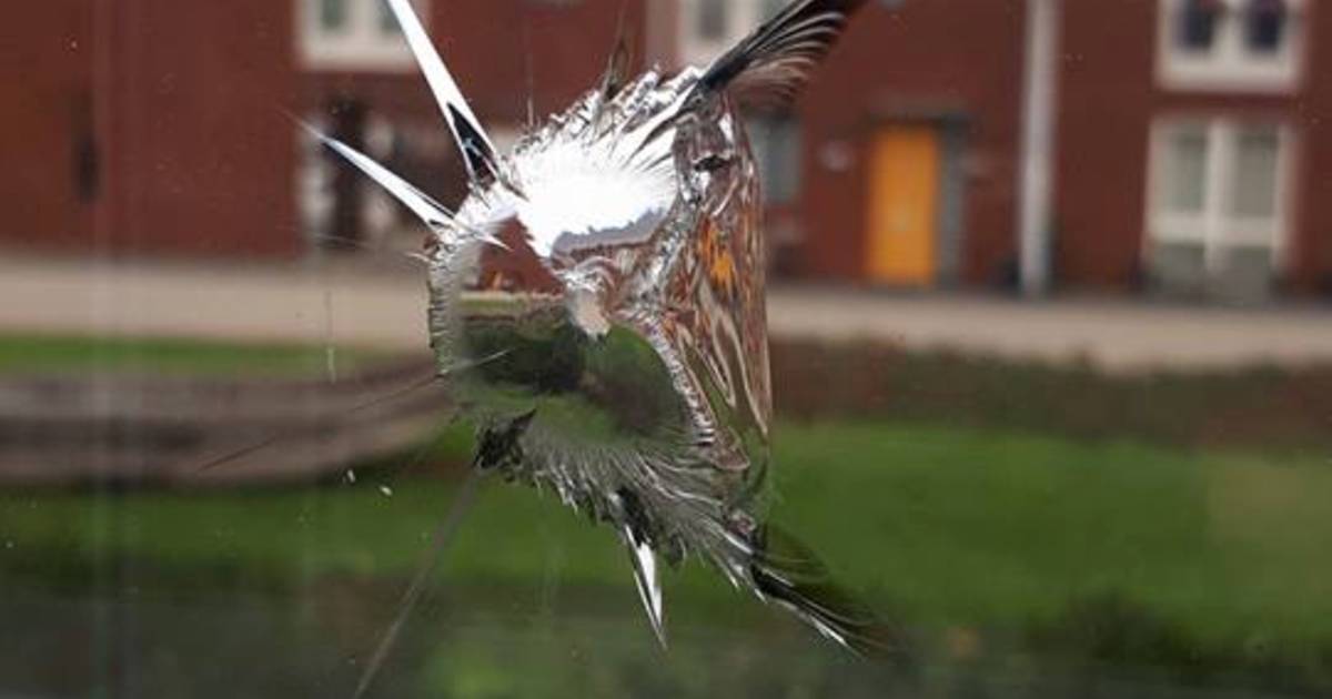 Leidsche Rijn is hélémaal klaar met ‘rotjochies’ die ruiten vernielen ...