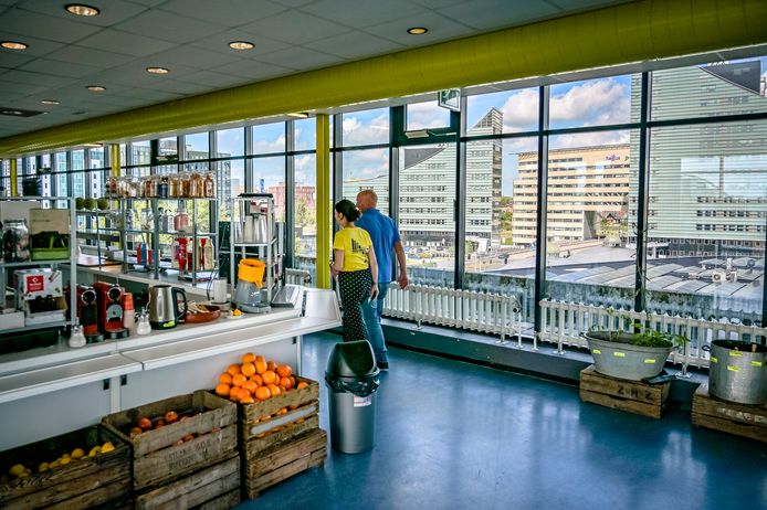 Capelle vangt nog meer Oekraïners op en zorgt voor vermaak: ‘Belangrijk ...