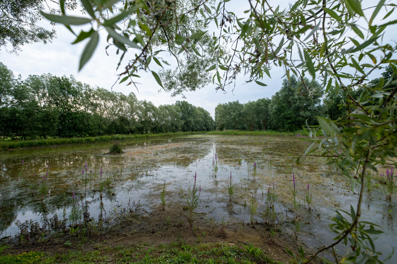De warmste vakantieplek van Luc Morjaeu, tekenaar van Suske en Wiske ...