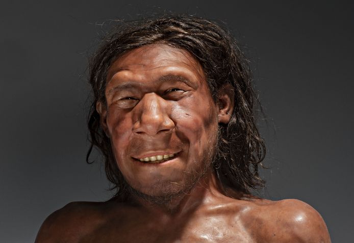 Eerste Nederlandse Neanderthaler krijgt een naam: Krijn (en dit is het ...