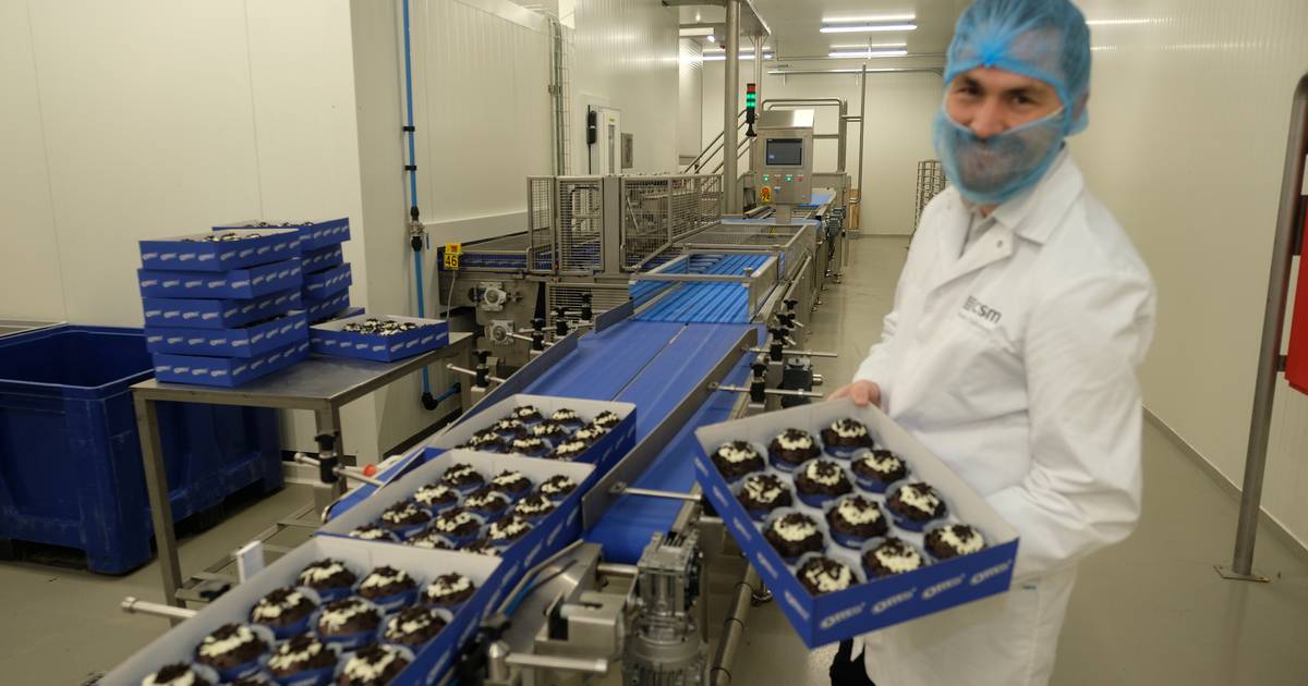 CSM Bakery investeert 7,5 miljoen euro in nieuwe muffinlijn ...