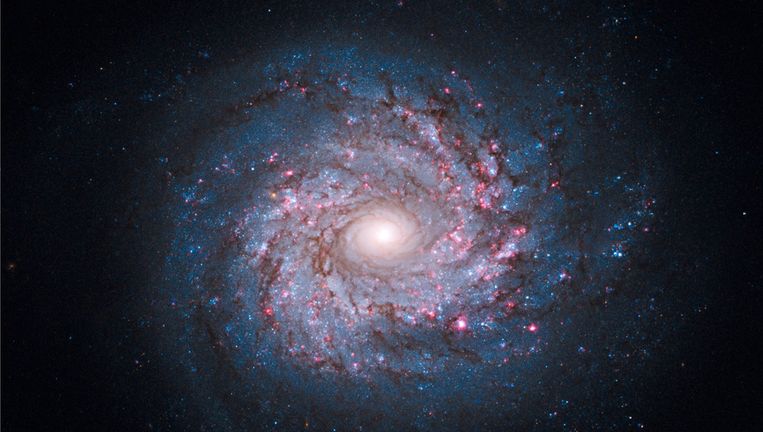 Verste sterrenstelsel ooit ontdekt | De Volkskrant