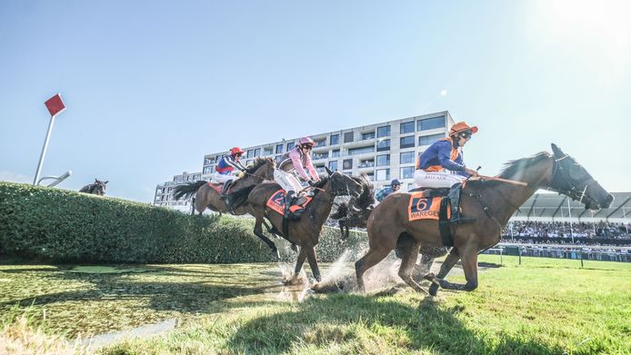 KIJK Zo ziet de spectaculaire sprong over de Gaverbeek eruit vanop de eerste rij op Waregem ...