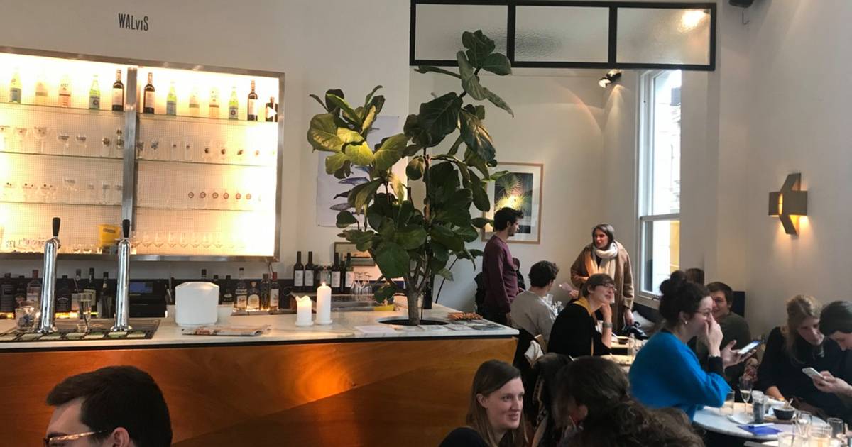 Recensie Walvis | Antwerpen | hln.be