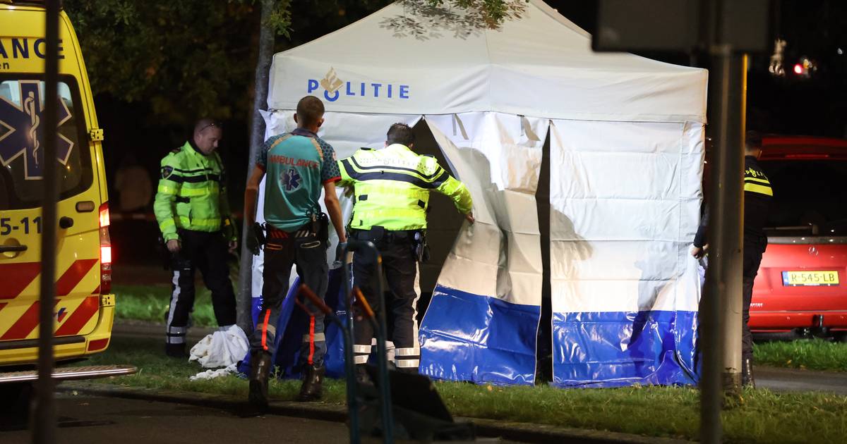 Vrouw (73) overlijdt nadat zij op zebra geschept wordt door voertuig | Zoetermeer | AD.nl