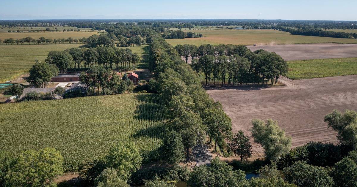 Streep door nieuwe melkveehouderijen bij Almelo; stikstofcrisis gooit ...
