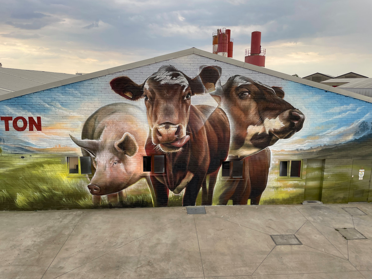 Graffitikunstenares Djoels zorgt voor enorme ode aan landbouwleven in ...