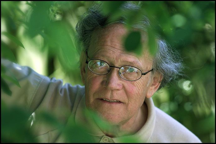 Zeeuwse dichter Lou de Jonge (Lou Vleugelhof) overleden | Zeeland ...