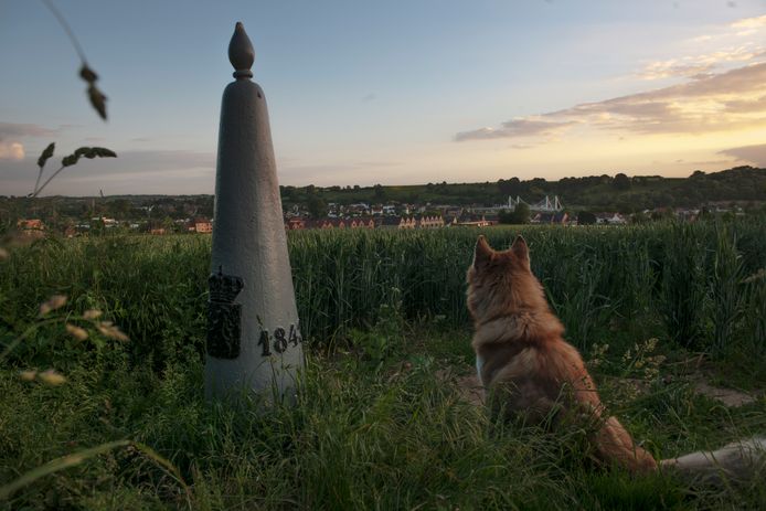 Beleef de mooie natuur van het Plateau van Caesert tijdens de natuur ...