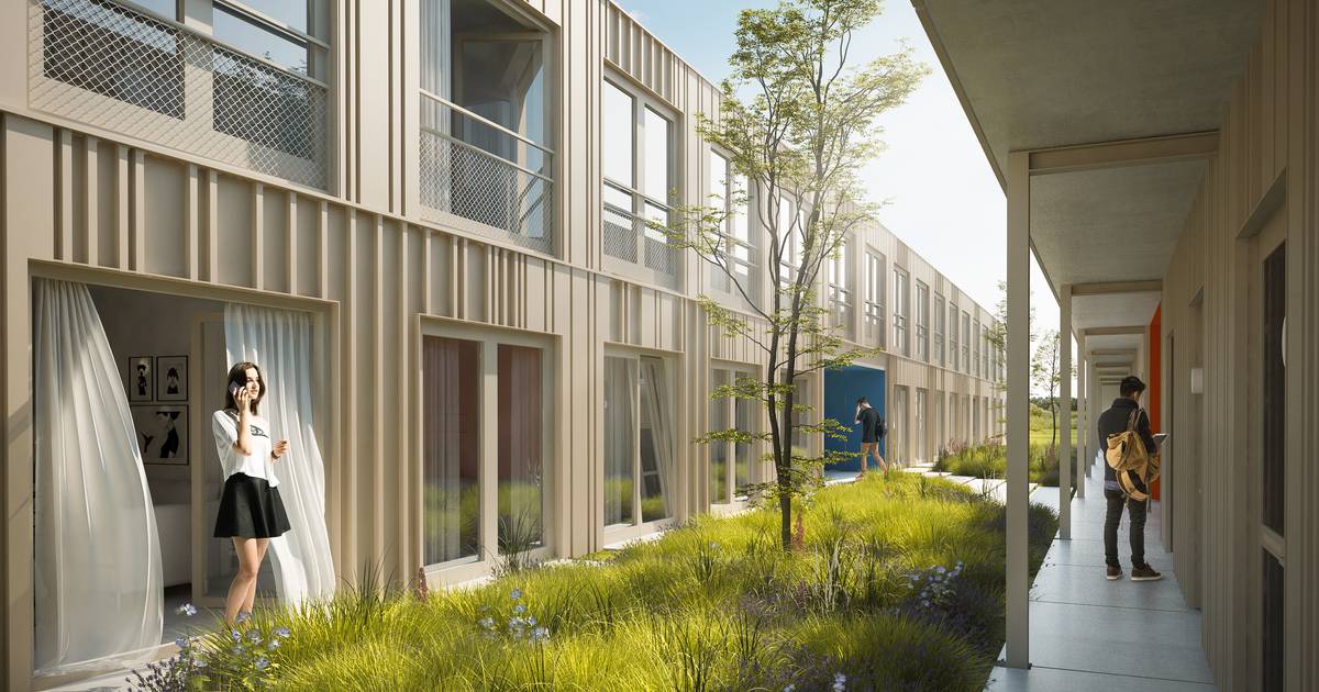 De Meeuw bouwt met Nezzt 240 flexibele woningen in Amsterdam | Oirschot ...