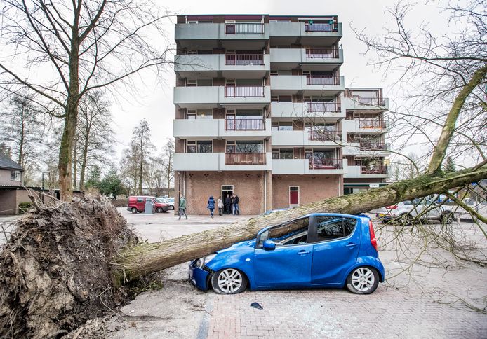Deze stormfoto's moet je gezien hebben | Zware winterstorm | AD.nl