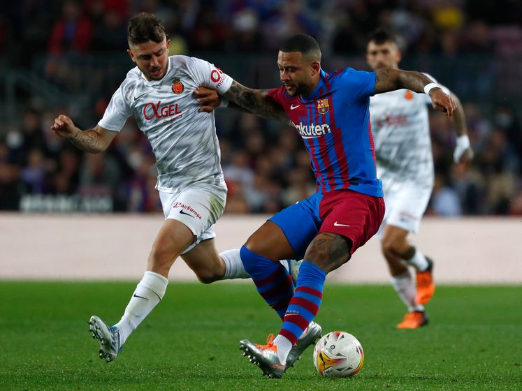 Van teeuw tot walfijn: de meest bijzondere kruisingen in dierenland ...