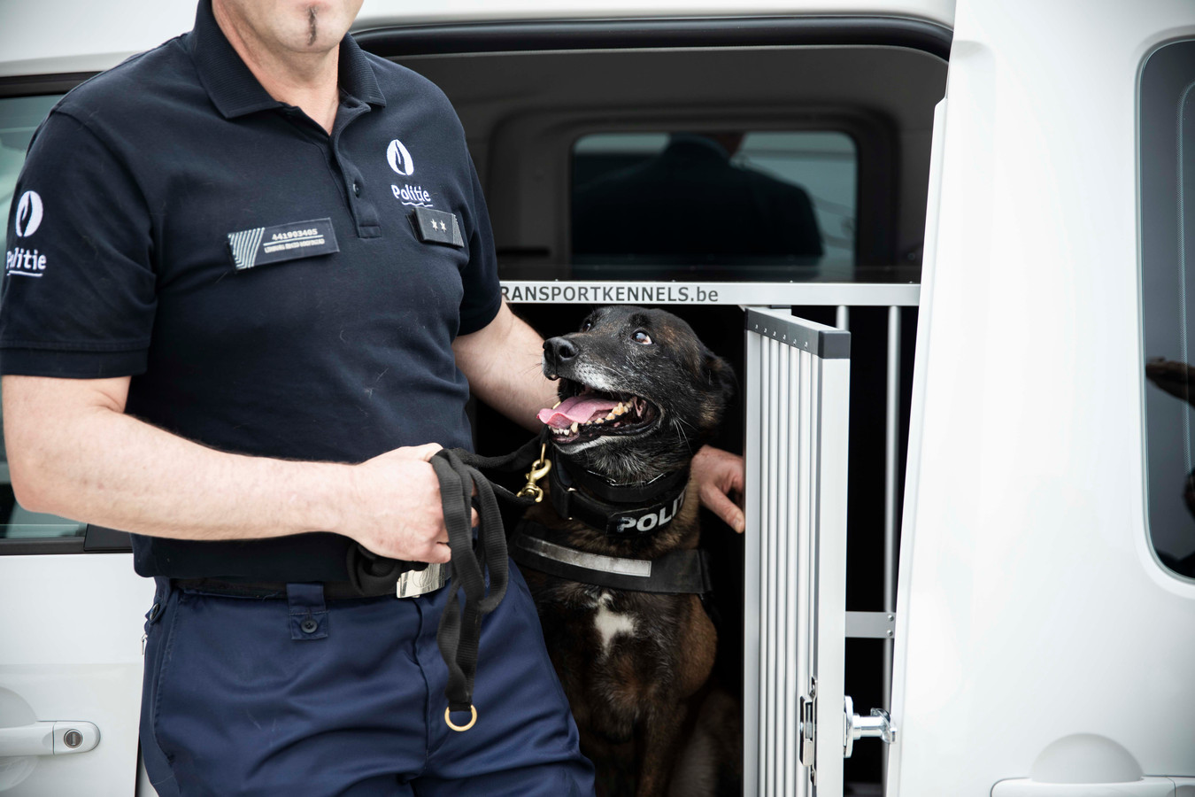 Politie Limburg Regio Hoofdstad schaft nieuwe voertuigen aan voor hondengeleiders en hun ...