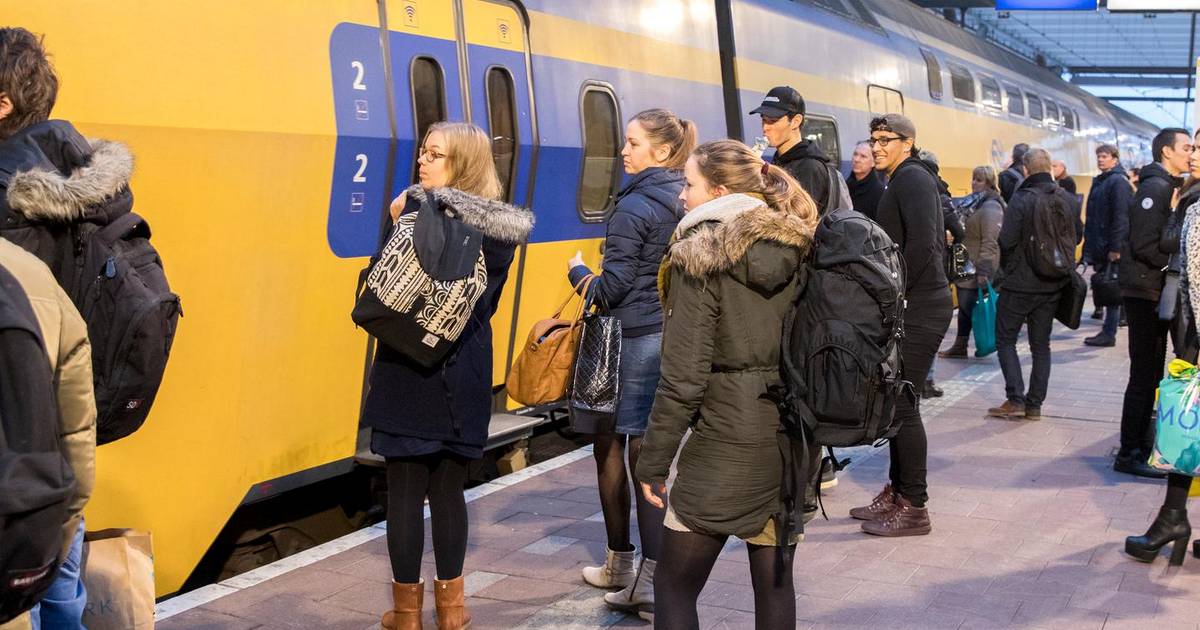 Rechter verbiedt treinstaking machinisten morgen | Nieuws | gelderlander.nl