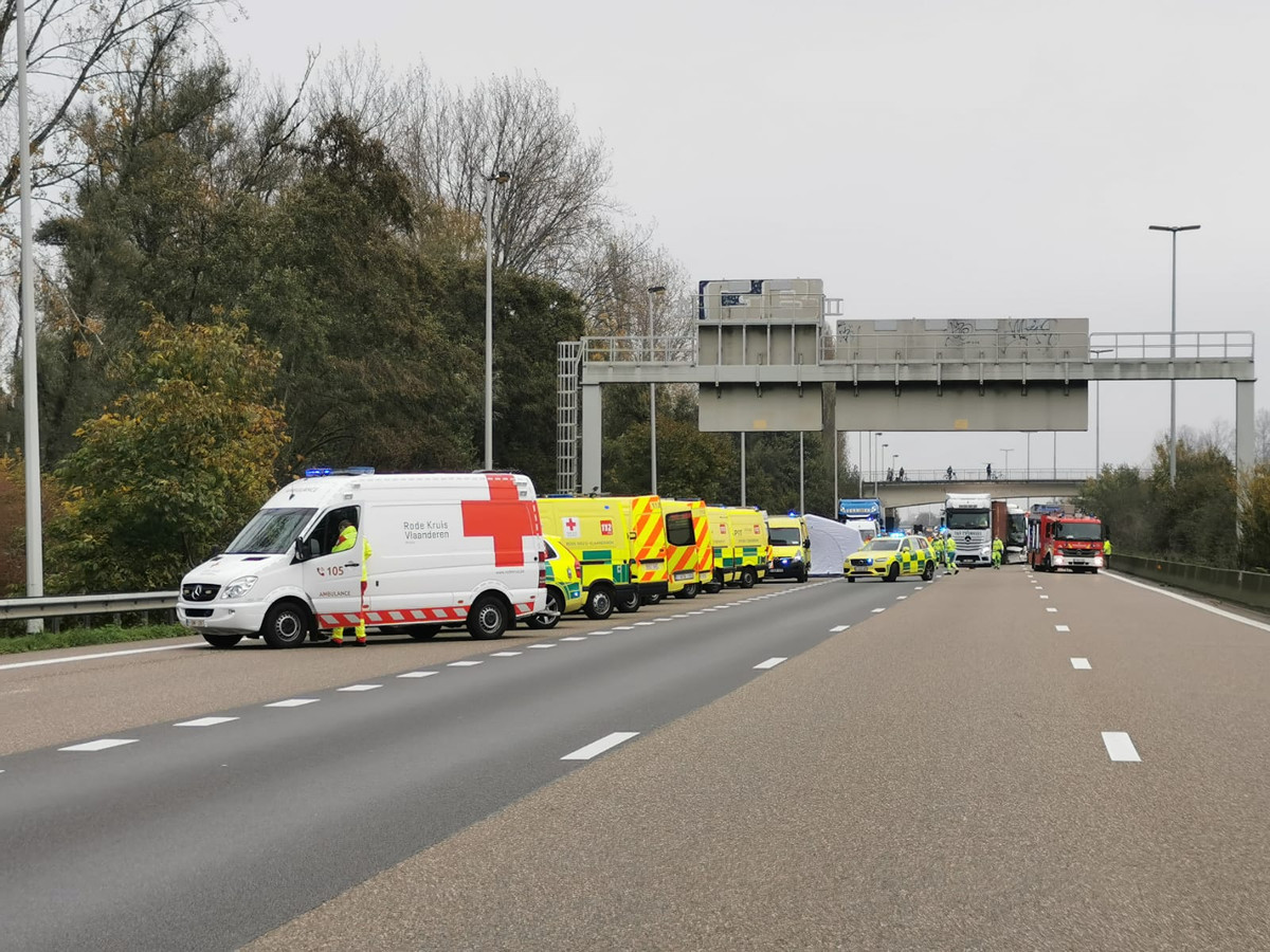 Bus met Nederlandse senioren op weg naar de zon crasht in België: 20 ...