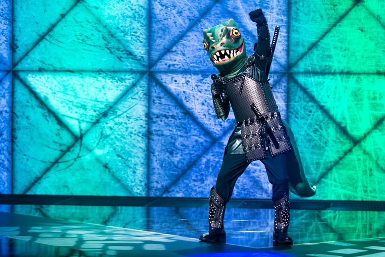 Drie miljoen kijkers voor een duet tussen een zebra en een aap: wat is ...