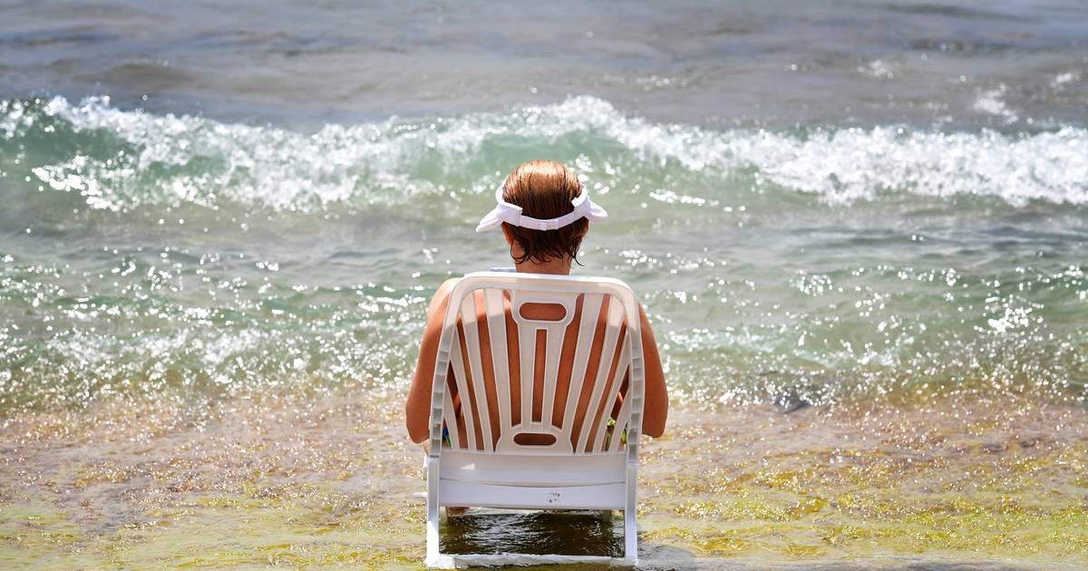 Hittegolf in zicht: vanaf morgen tropisch warm, tegen het weekend ...