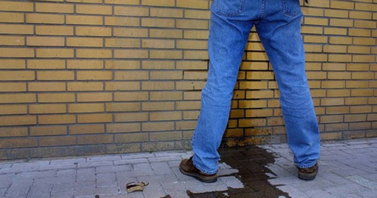 Politie ziet een man wildplassen en vindt daarna drugs, een taser en ...