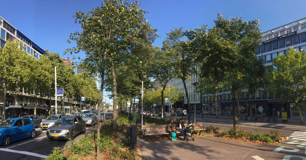 Heeft Rotterdam straks een groene oase van Eendrachtsplein tot ...