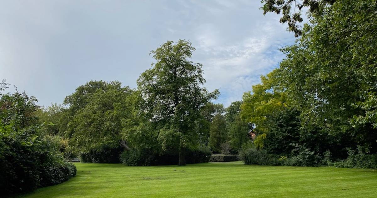 Park van Rumst en Reet nog tot maandag dicht | Rumst | hln.be