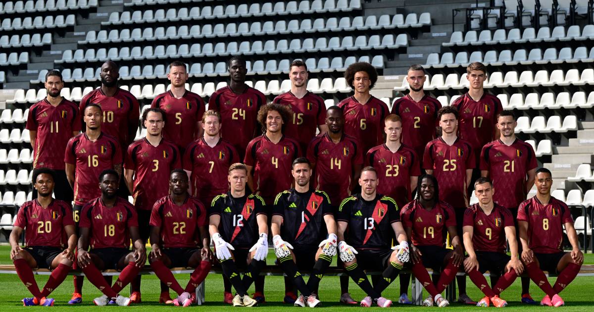 Selectie Rode Duivels EK 2024: Deze Rode Duivels gaan naar het EK
