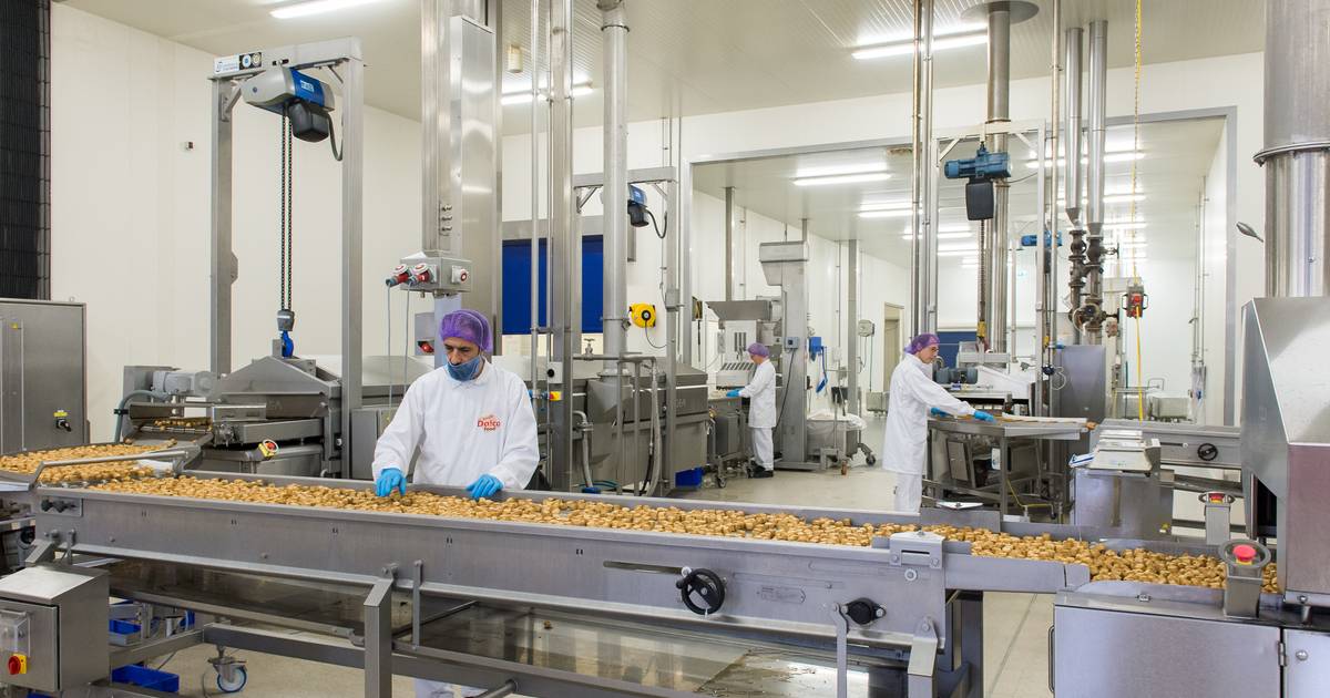 Grote onzekerheid bij medewerkers van Osse Dalco Food over verhuizing ...