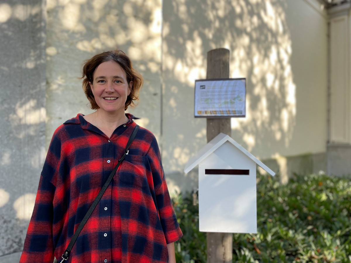 Brief sturen naar overledene? Dat kan de komende weken op deze Gentse ...