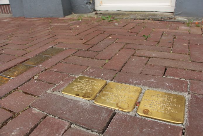 Synagoge-stichting staat mét David Lowenberg stil bij Joods verleden ...