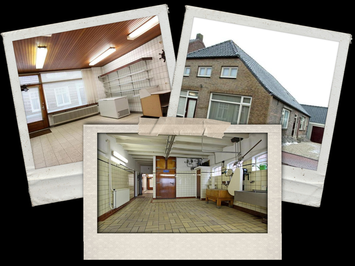 Dayenne en Daan verbouwden voormalige slagerij De Poot om tot parel ...