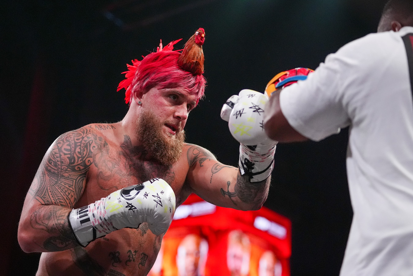 Jake Paul draagt ‘haan’ op zijn hoofd bij training voor gevecht met ...
