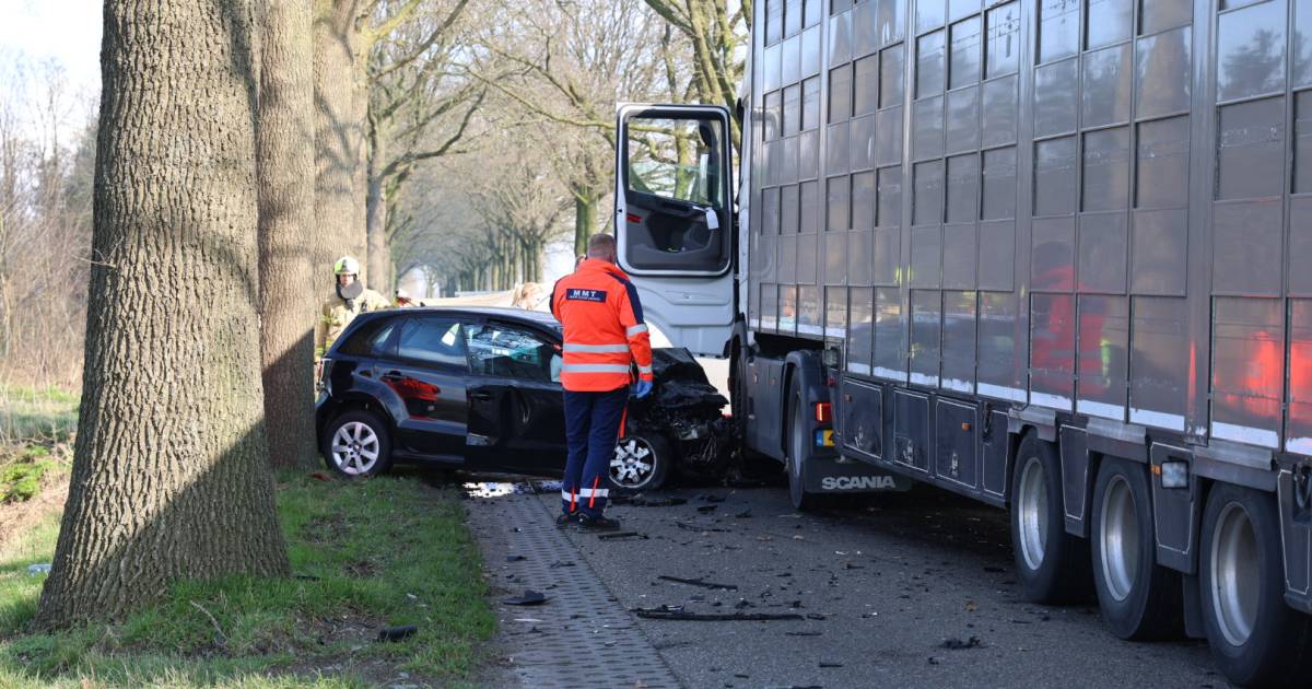 Dode bij botsing tussen auto en vrachtwagen is moeder (42) van neergestoken kinderen in Boekel ...