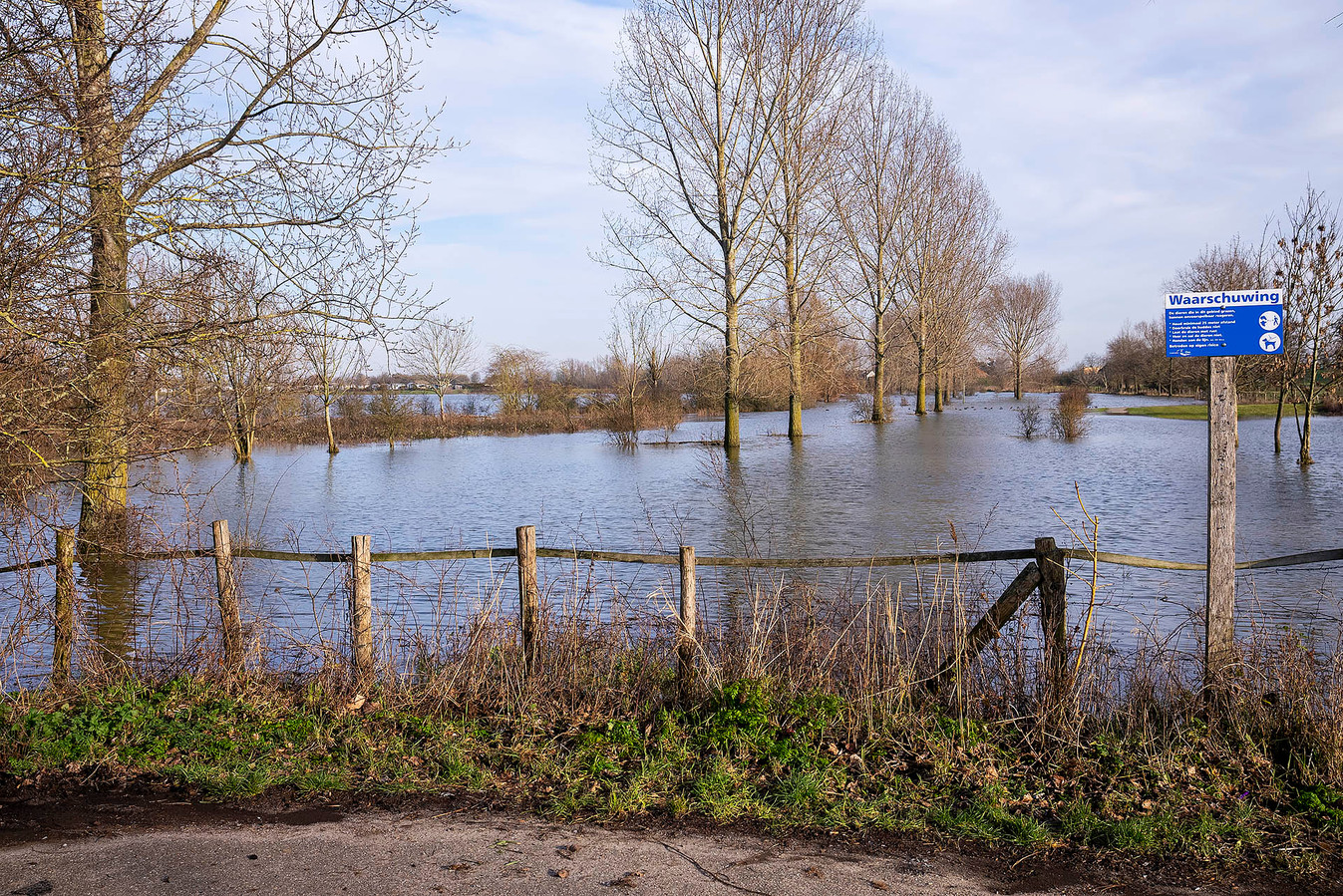 Hoogwater in de Maas: rivier treedt honderden meters buiten oevers bij ...