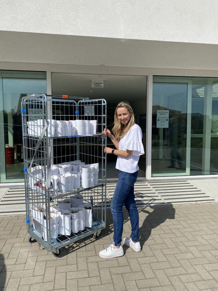 Cadeautjes blijven toestromen: 100 bloempakketten voor bewoners en ...