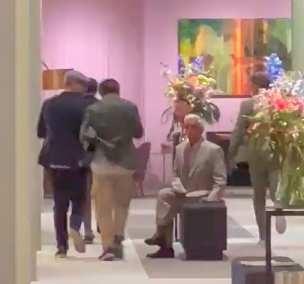 Waarom de Tefaf-rovers ongrijpbaar zijn: 'Pink Panthers zwaaiden vanuit ...