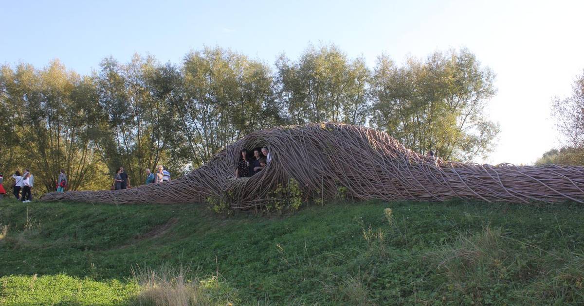 Een levend kunstwerk van 30 meter | Aalst | hln.be