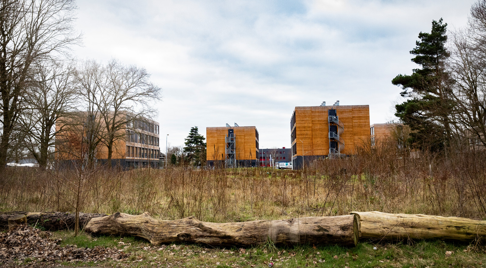 Eerste 78 tijdelijke woningen aan Berenkuil in Eindhoven zijn voor ... Eerste 78 tijdelijke woningen aan Berenkuil in Eindhoven zijn voor ...