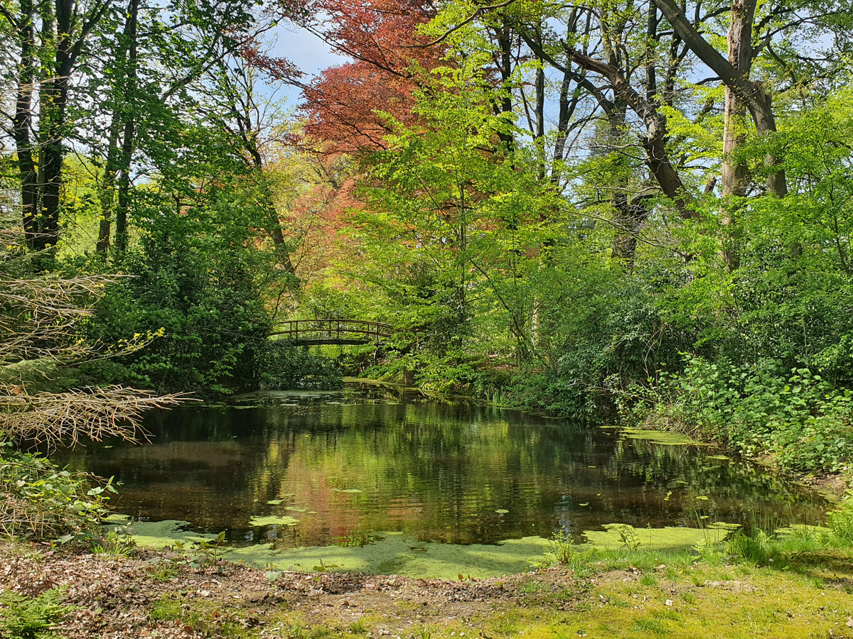 IN BEELD. Een unieke blik op het prachtige park achter ‘Villa Holganza ...