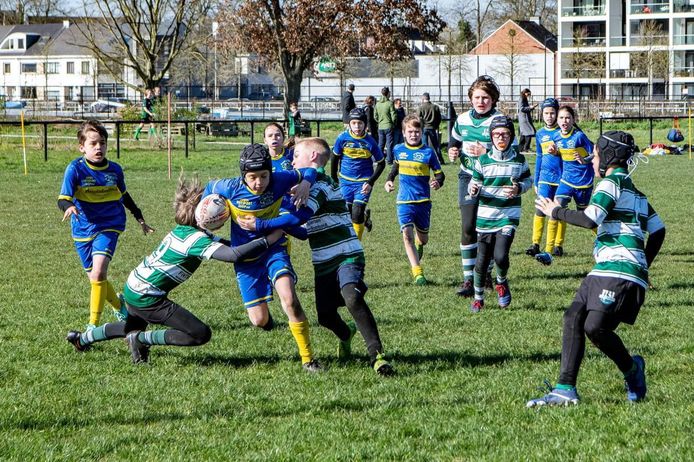Rugby Club Zottegem start met trainingen voor U8 spelers | Zottegem | hln.be