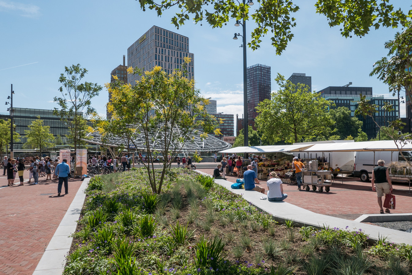 Plantjes en bloemen veranderen stenen straten in groene oases | Foto ...