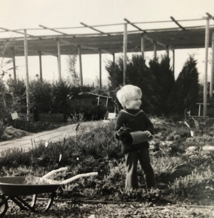 Vroeger had iedereen een houten schutting, nu is alles groen: hoe de ...