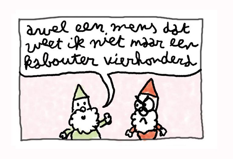 10 jaar na het laatste avontuur: Kabouter Wesley, de superéénmalige ...